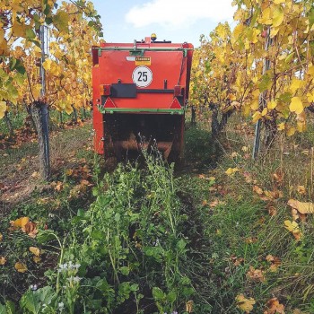 Réaliser un bon compost, c'est un travail d'équipe ! Alsace Charles Frey